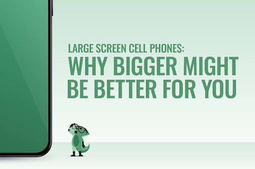 Cell Phone Plans for Seniors (Mint 55+) | Mint Mobile